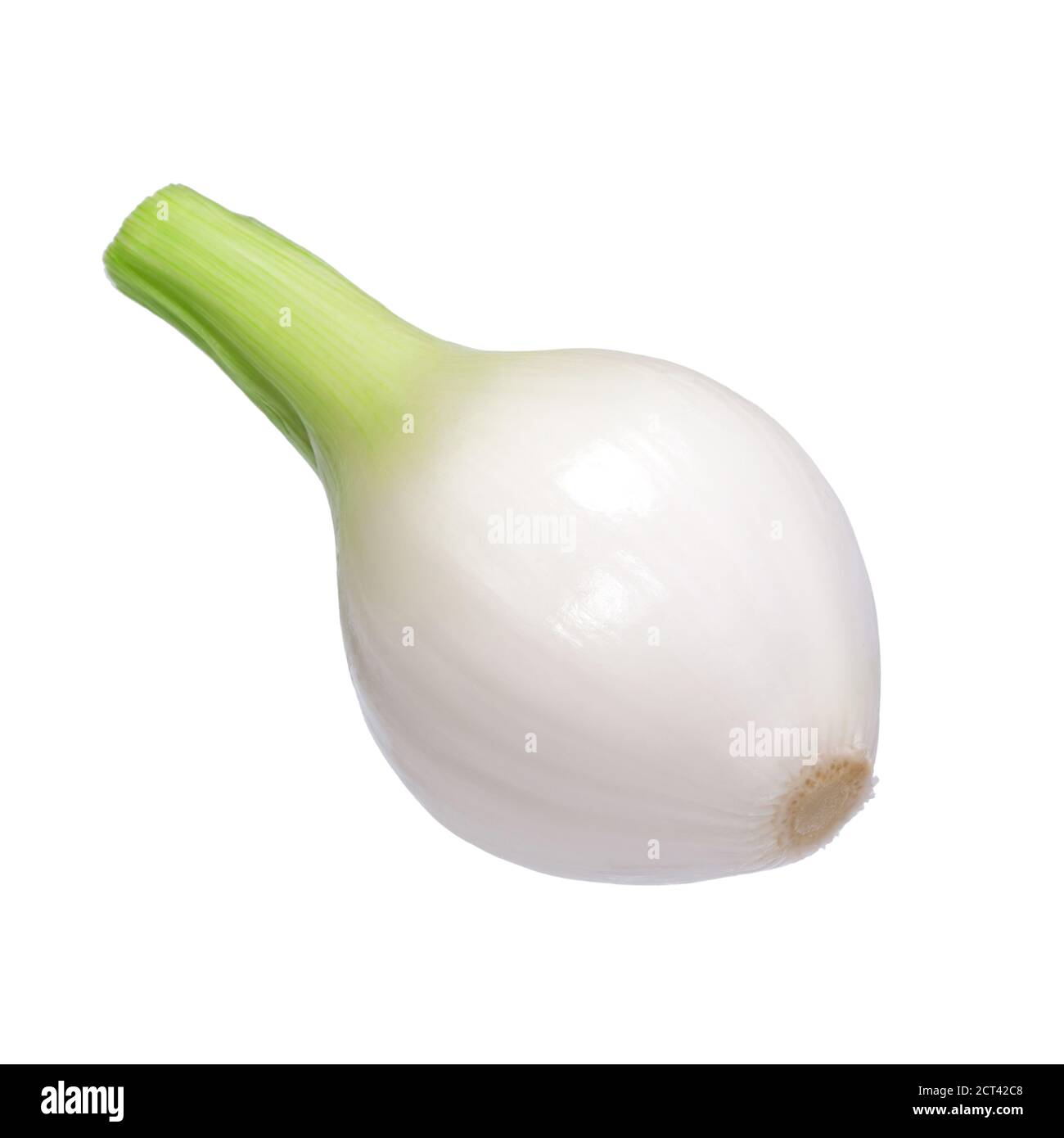 Fresh onion isolated on a white background Stock Photo - Alamy