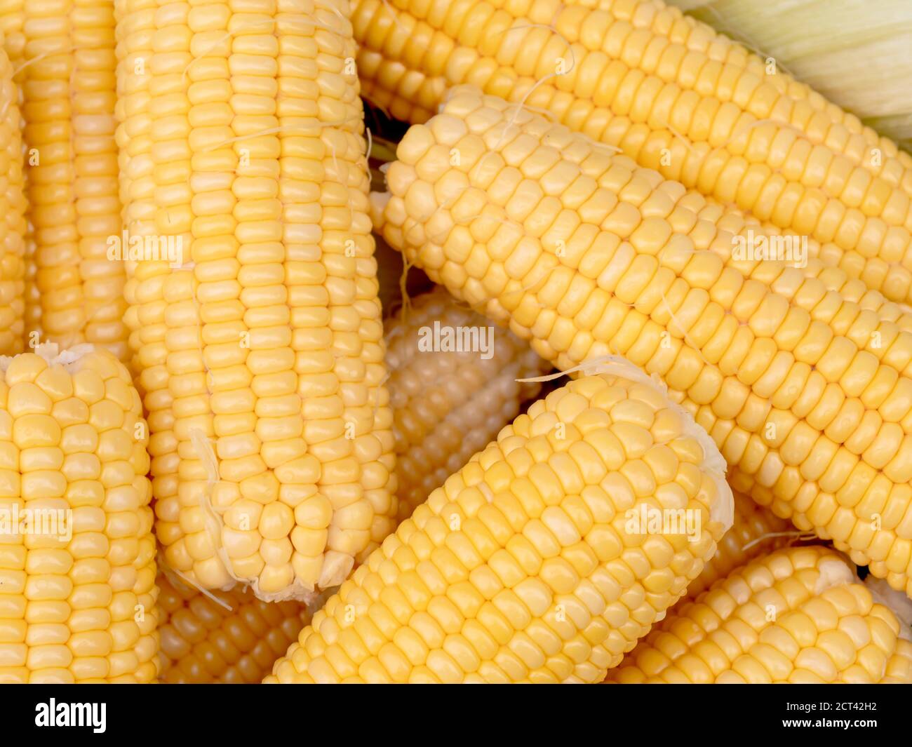 Top-view group freshness seeds of sweet corn on the table. Fresh raw ...