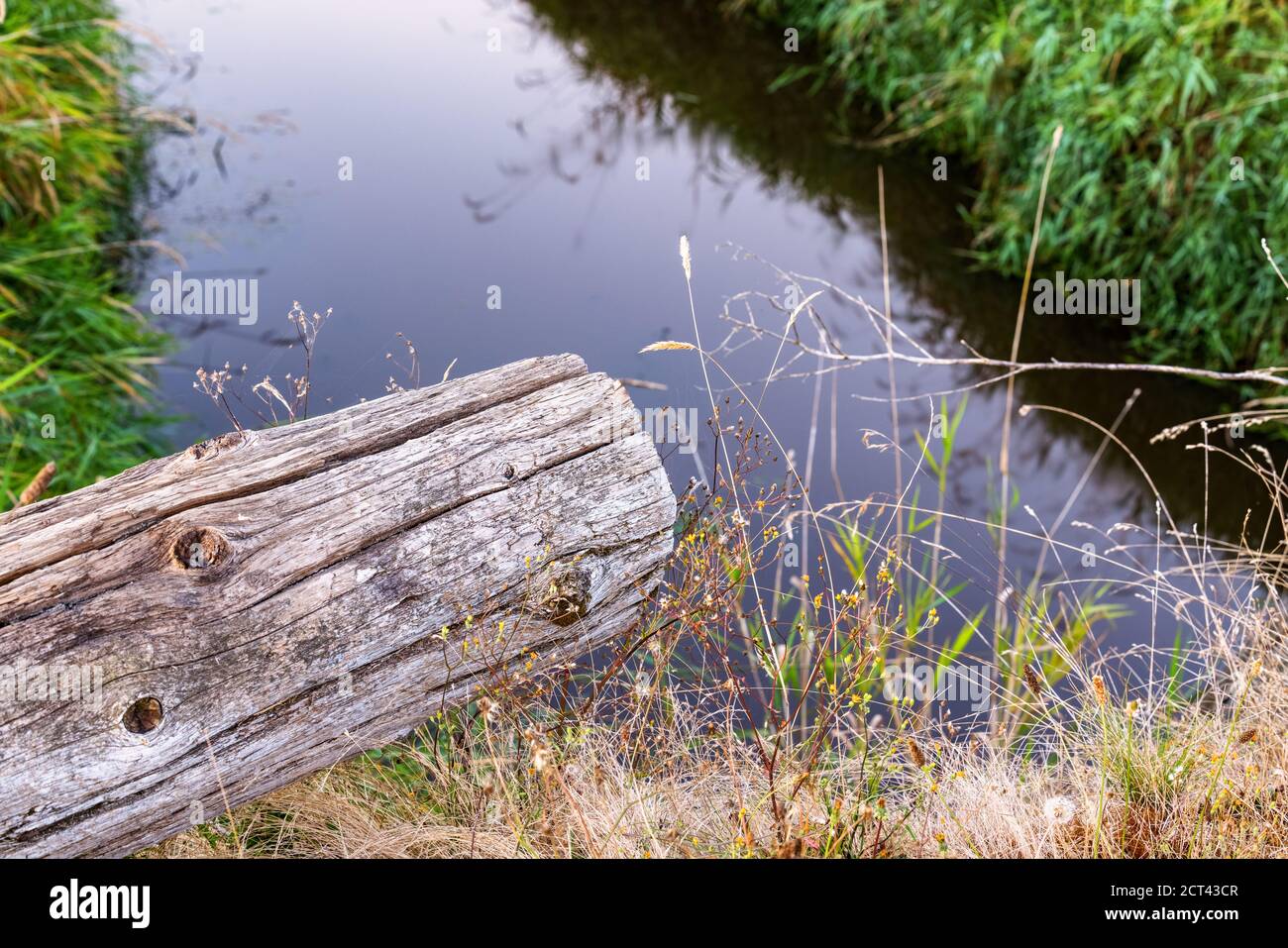 Log hanging over edge of stream Stock Photo - Alamy