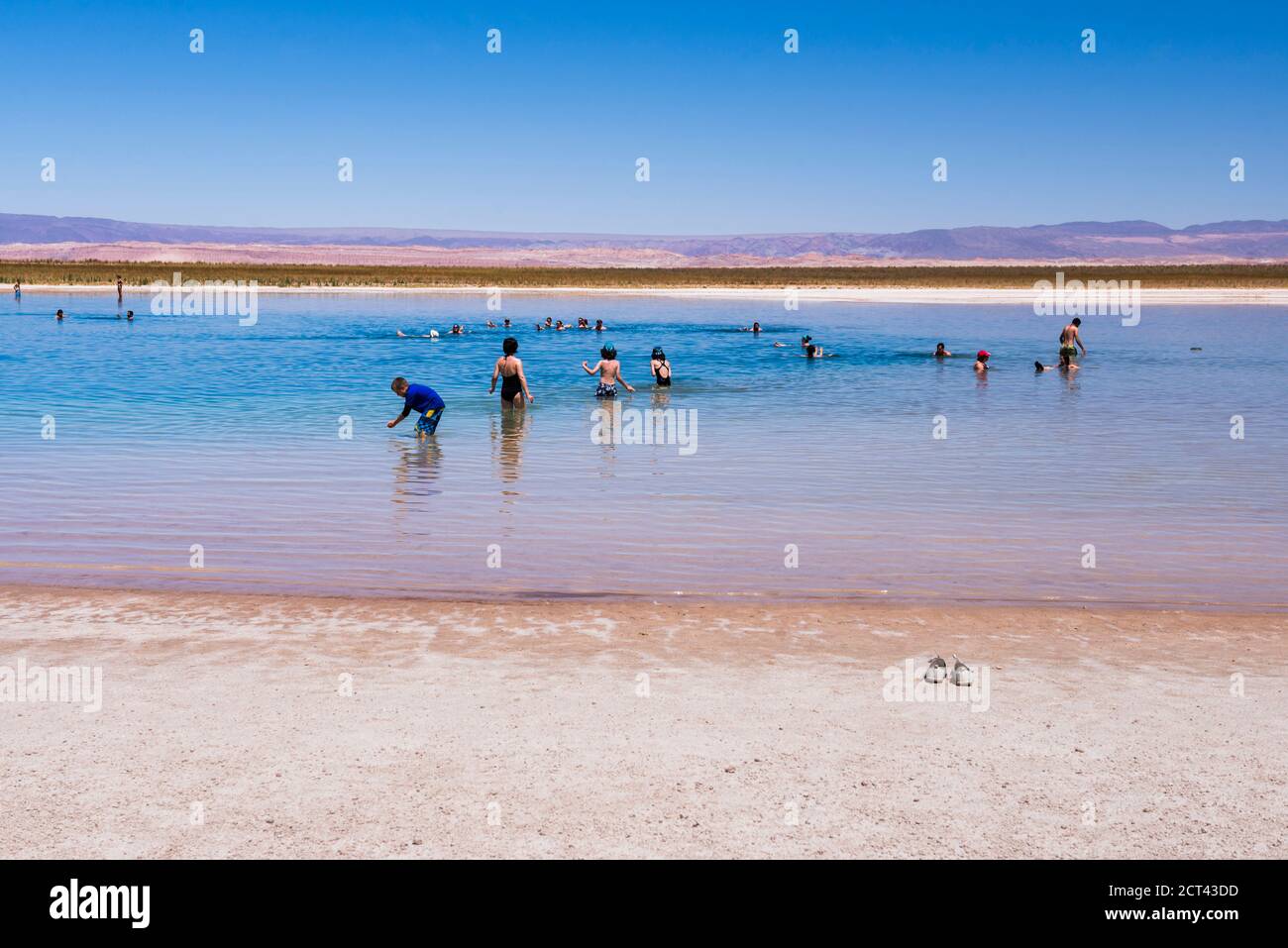 Laguna Cejar (aka floating salt lake lagoon), Atacama Desert, North ...