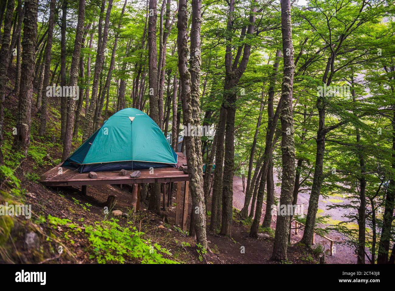 Tents in a campsite for camping in the forest landscape at Torres del ...
