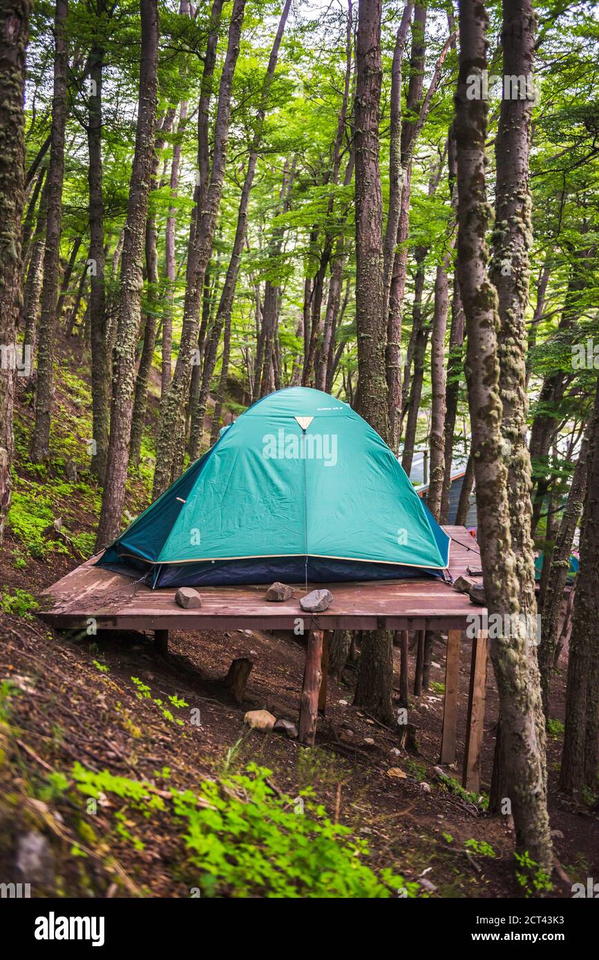 Tents in a campsite for camping in the forest landscape at Torres del ...