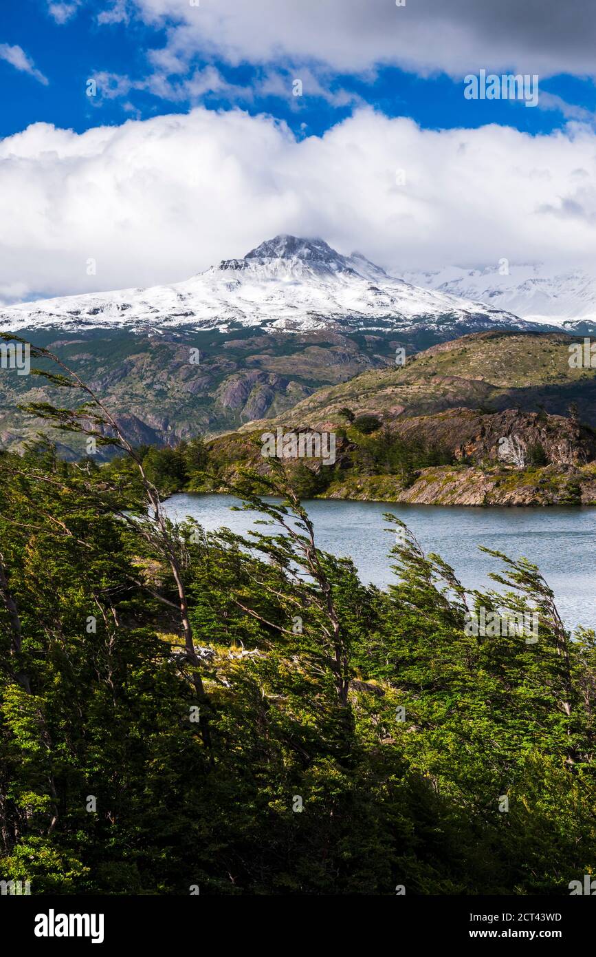 Lake Grey (Lago Grey), Torres del Paine National Park, Patagonia, Chile ...