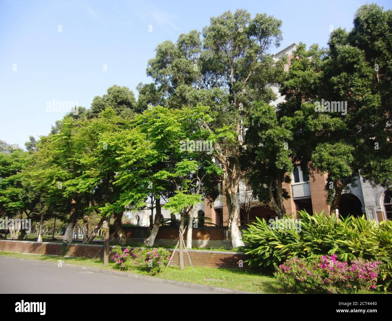 Sunny view of the campus view in NTU at Taipei, Taiwan Stock Photo - Alamy