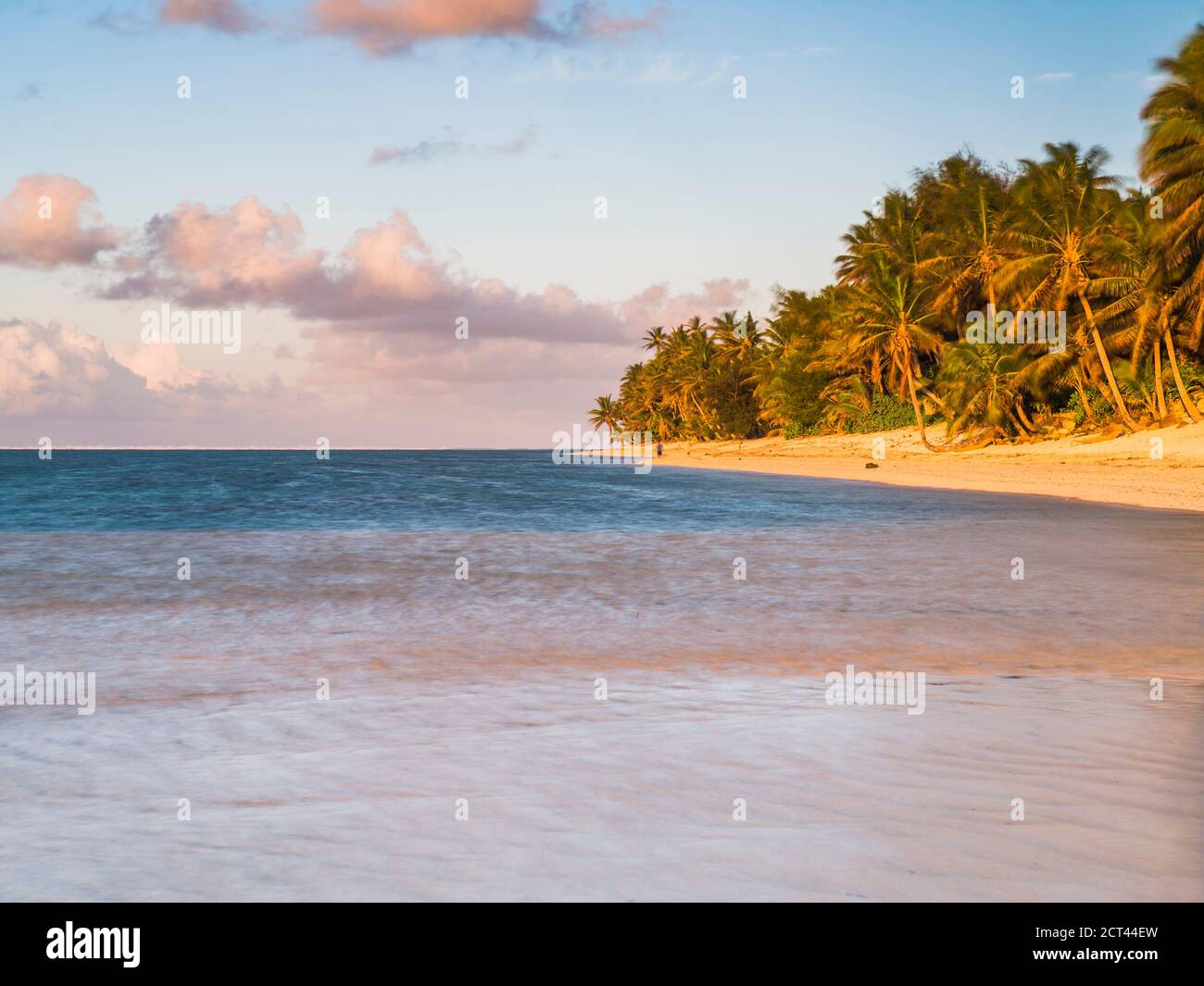 Tropical beach with palm trees at sunrise, Rarotonga, Cook Islands ...