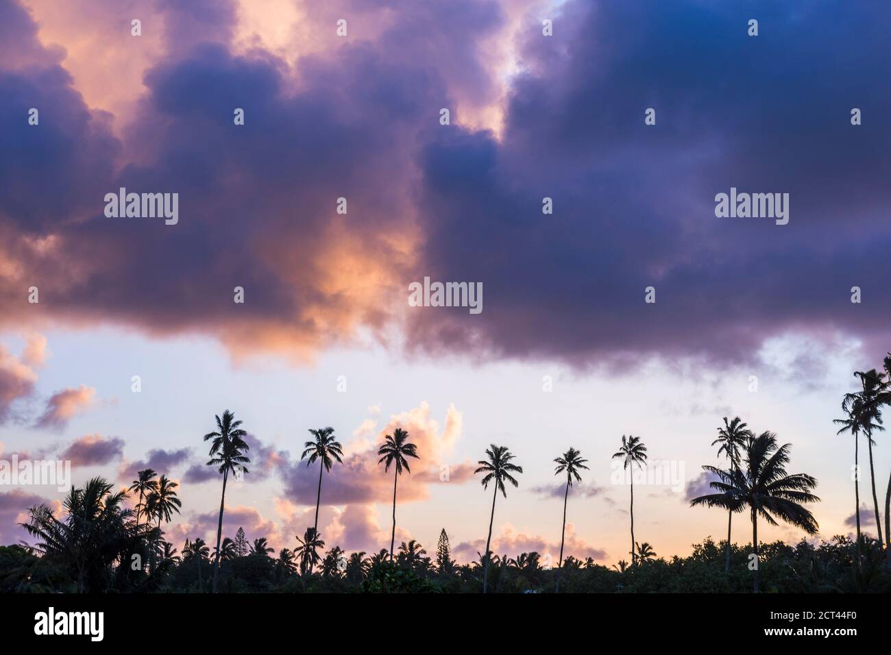 Tropical palm trees and dramatic sunset sky on the tropical island of ...
