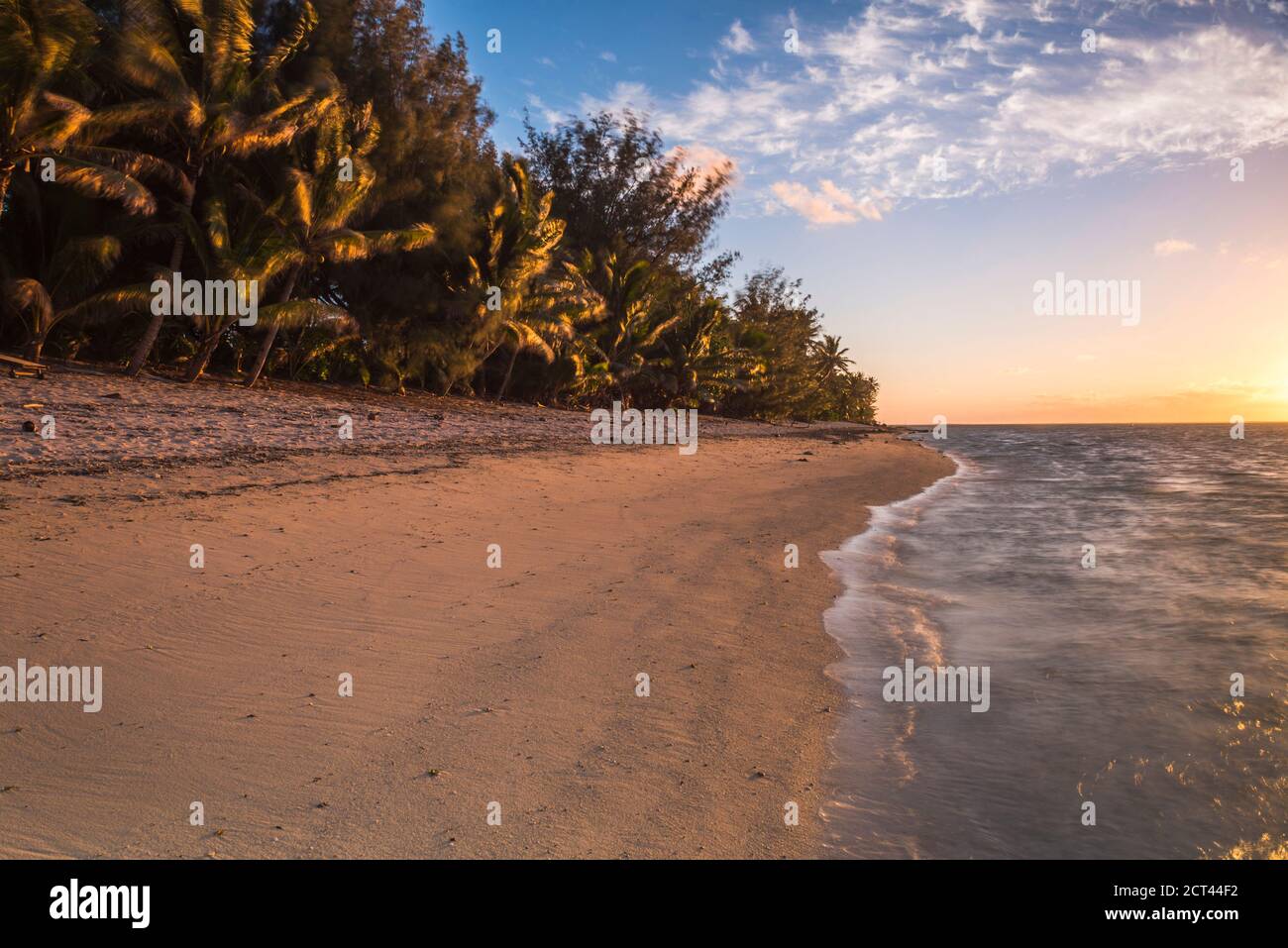 Tropical beach with palm trees at sunrise, Rarotonga, Cook Islands ...