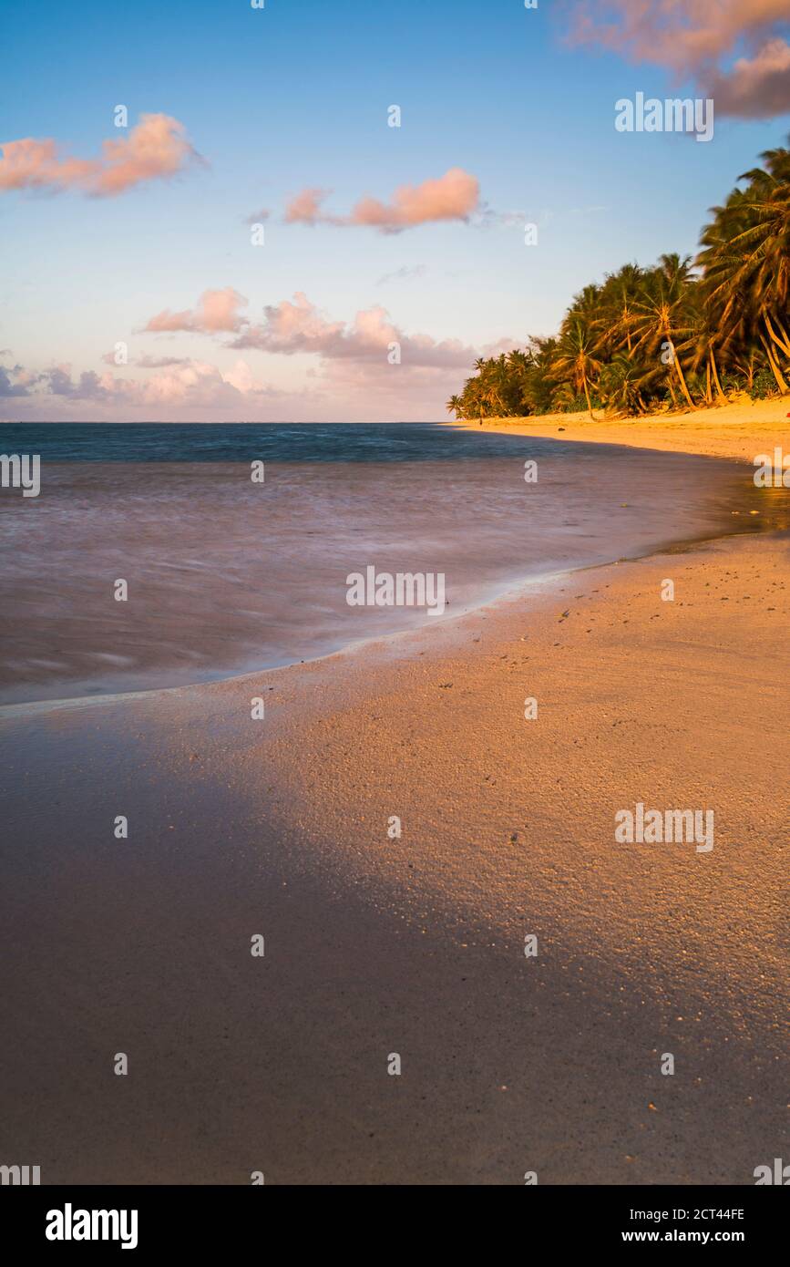 Tropical beach with palm trees at sunrise, Rarotonga, Cook Islands ...