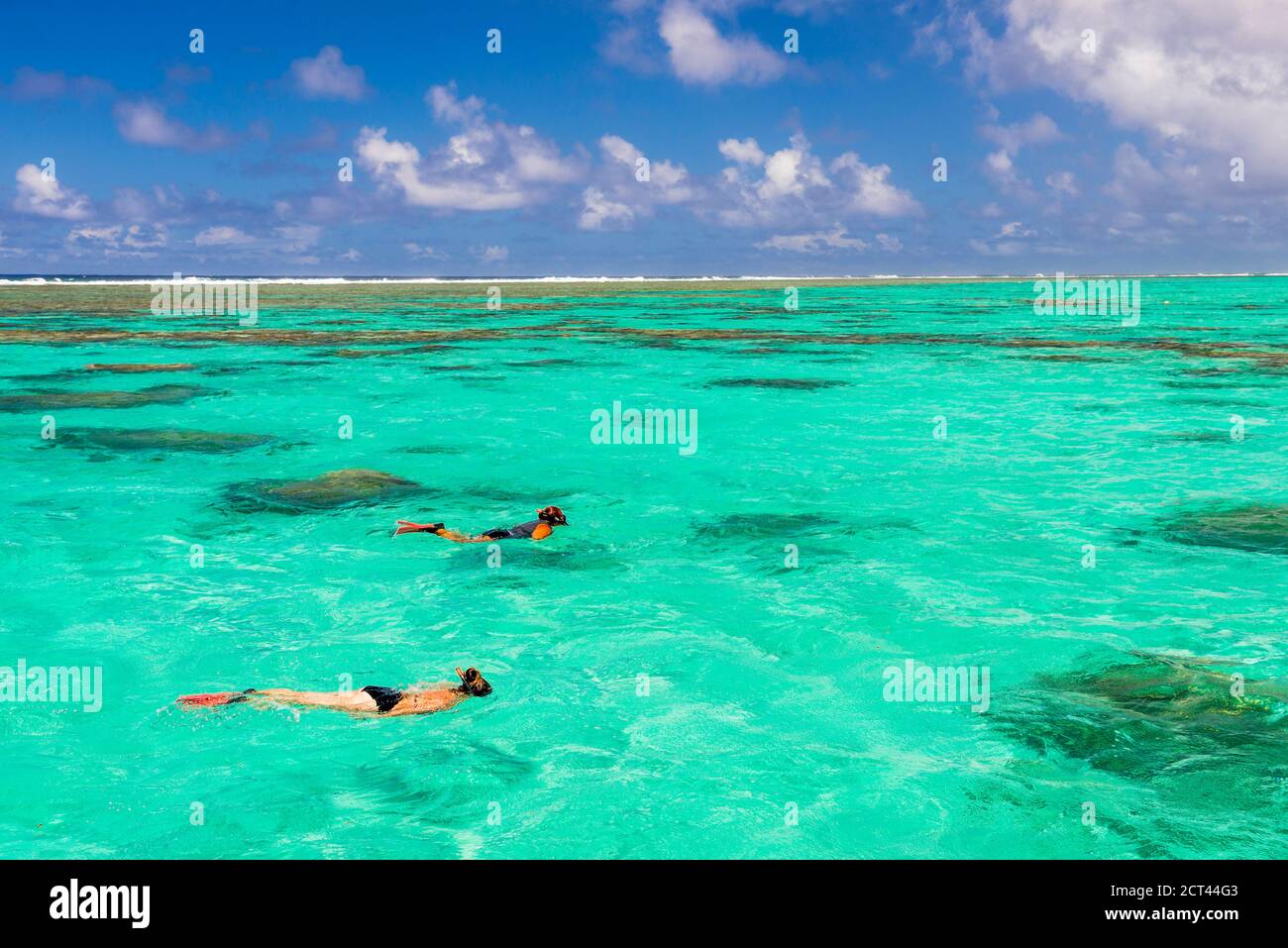 Snorkeling in the crystal clear blue Pacific ocean on the tropical ...
