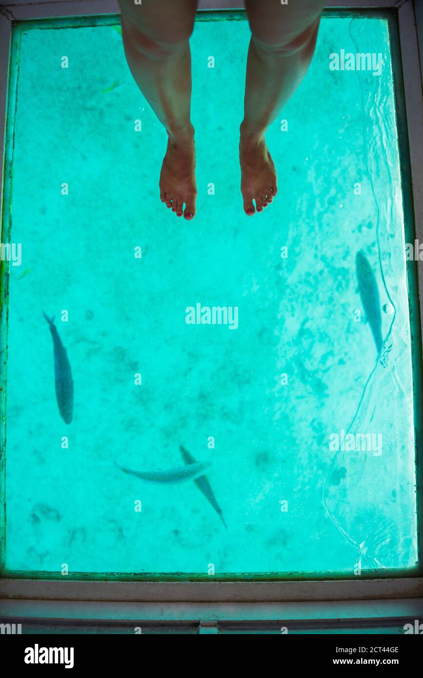 Glass bottom boat of Captain Tama's Lagoon Cruizes, Muri Lagoon ...