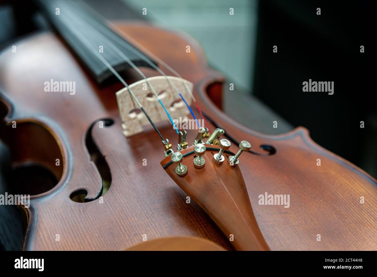 Violin musical instrument close up isolated on black Stock Photo - Alamy