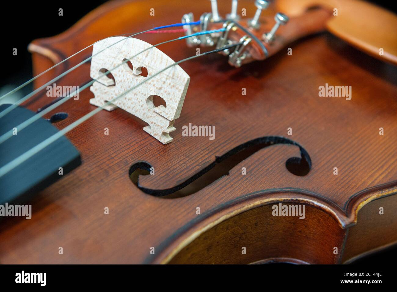 Violin musical instrument close up isolated on black Stock Photo - Alamy