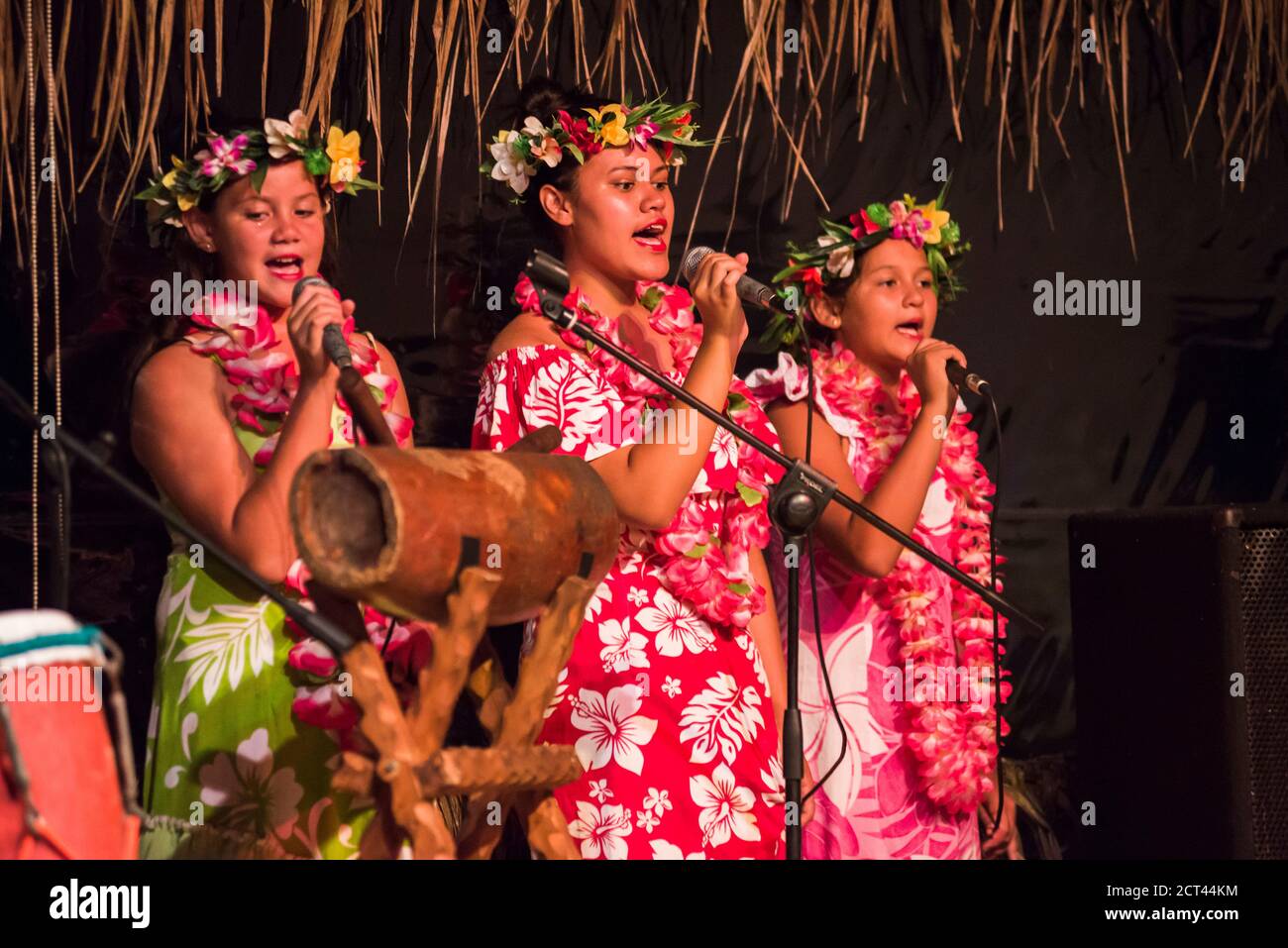 Women dancing playing musical instruments hi-res stock photography and ...