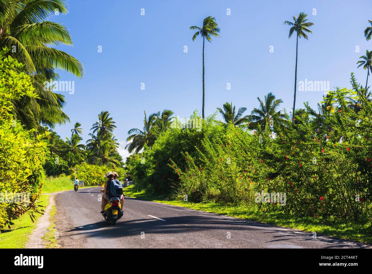 Moped driving on the circular road around Rarotonga, Cook Islands Stock ...