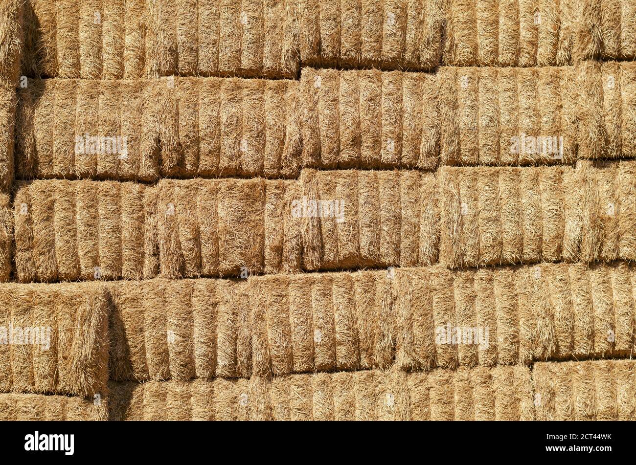 The texture of dry straw in rectangular bales. Close-up of rectangular ...