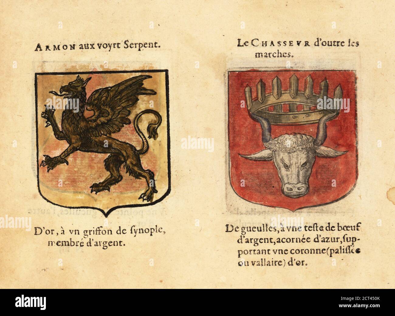 Armon aux voyrt serpent hi-res stock photography and images - Alamy