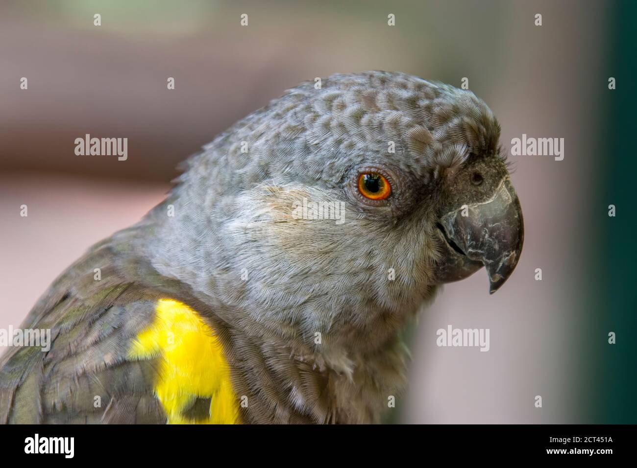 Southwest angola hi-res stock photography and images - Alamy