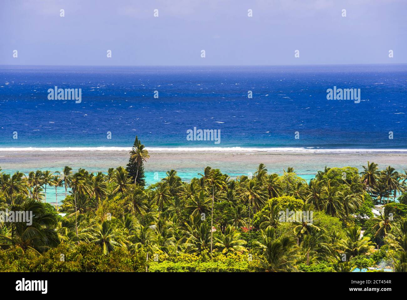 Tropical palm tree jungle with blue Pacific Ocean behind, at Rarotonga ...