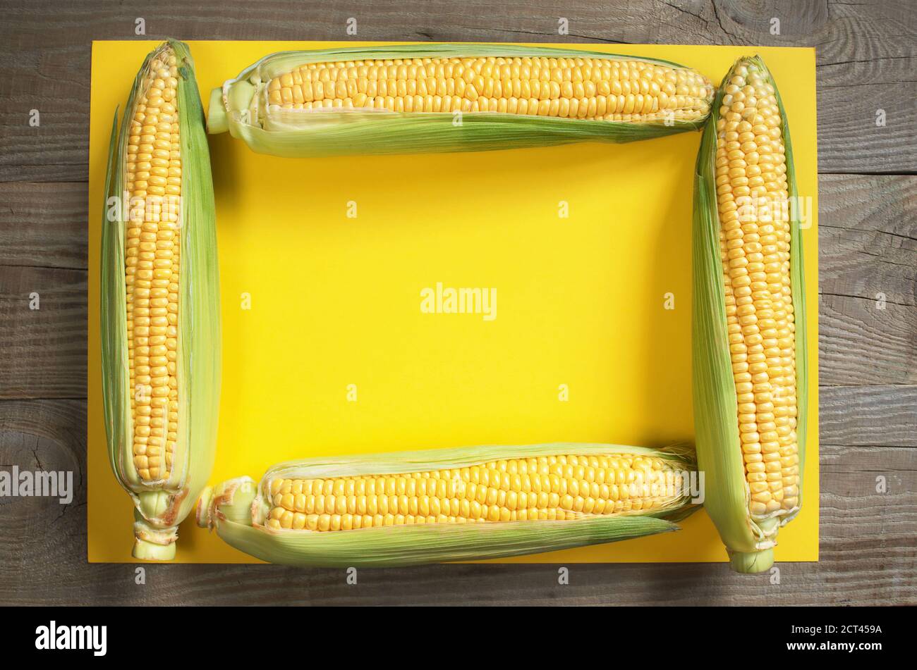 Ripe corn on table with yellow background in shape of frame, top view ...