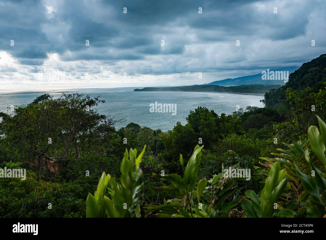 Torrential rain storm in the rainforest at Uvita, Puntarenas Province ...