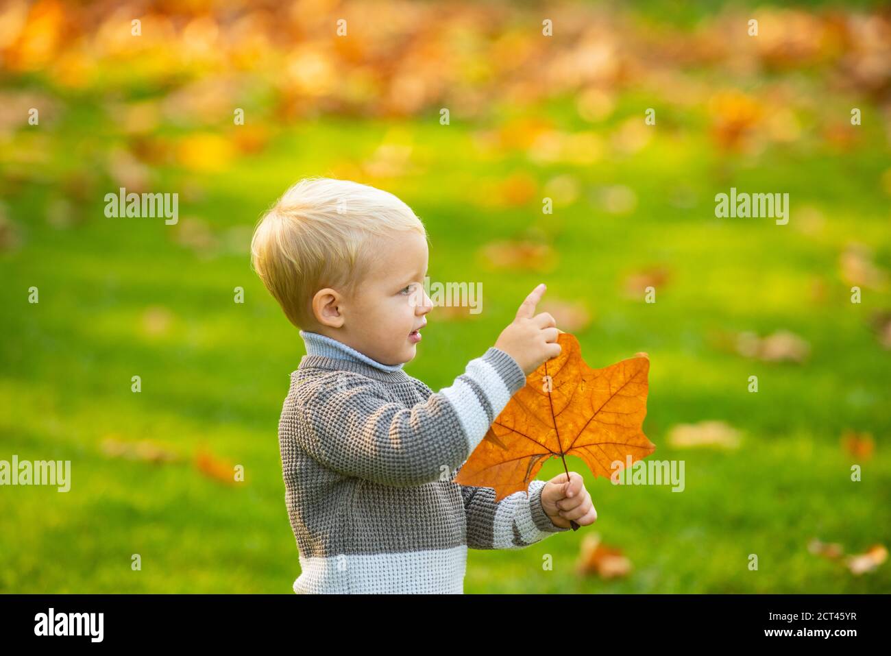 Adorable autumn kids with leaves in the beauty park. Toddler boy in ...