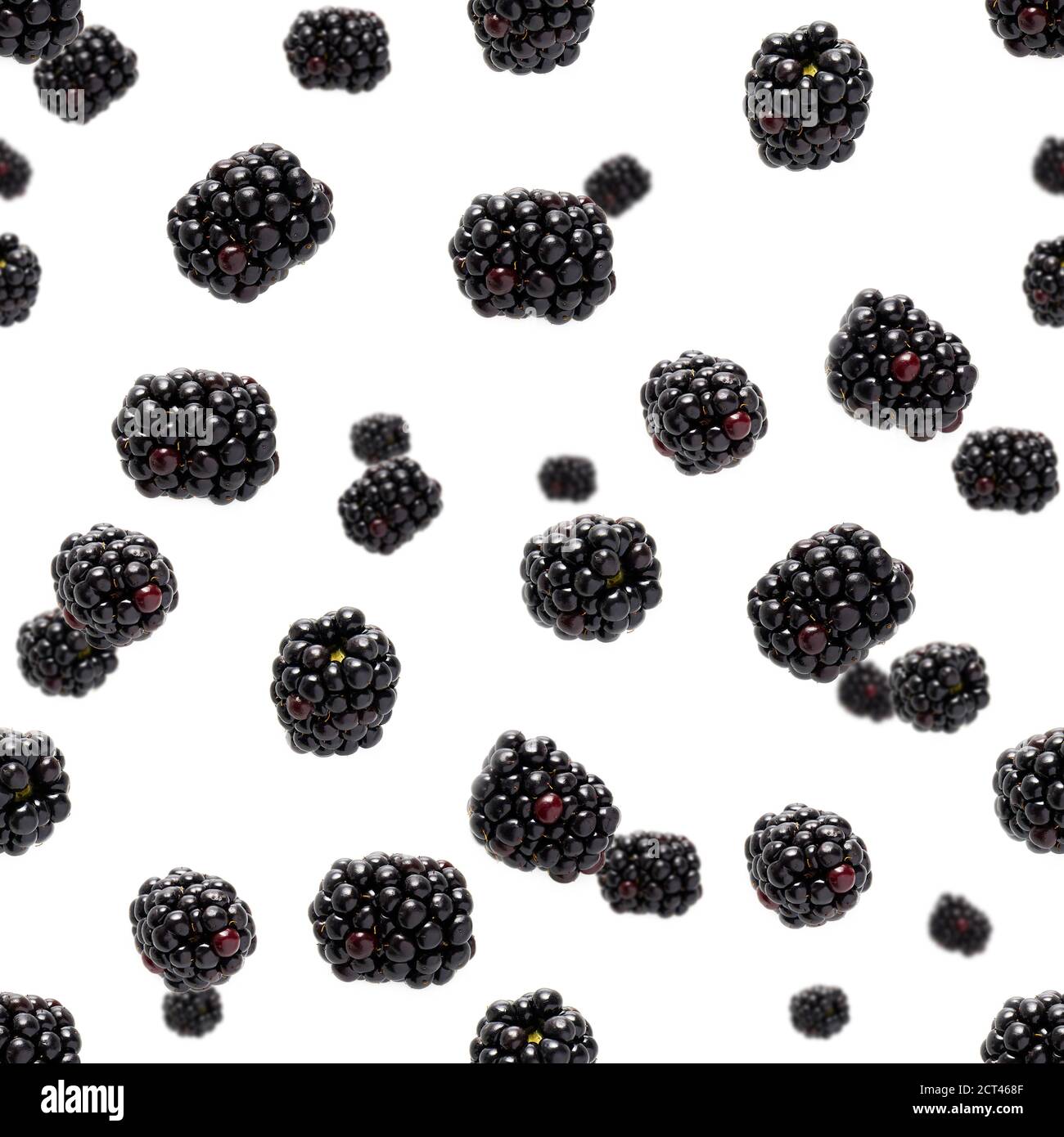 Falling Bramble Seamless pattern. Fresh Falling blackberry seamless ...