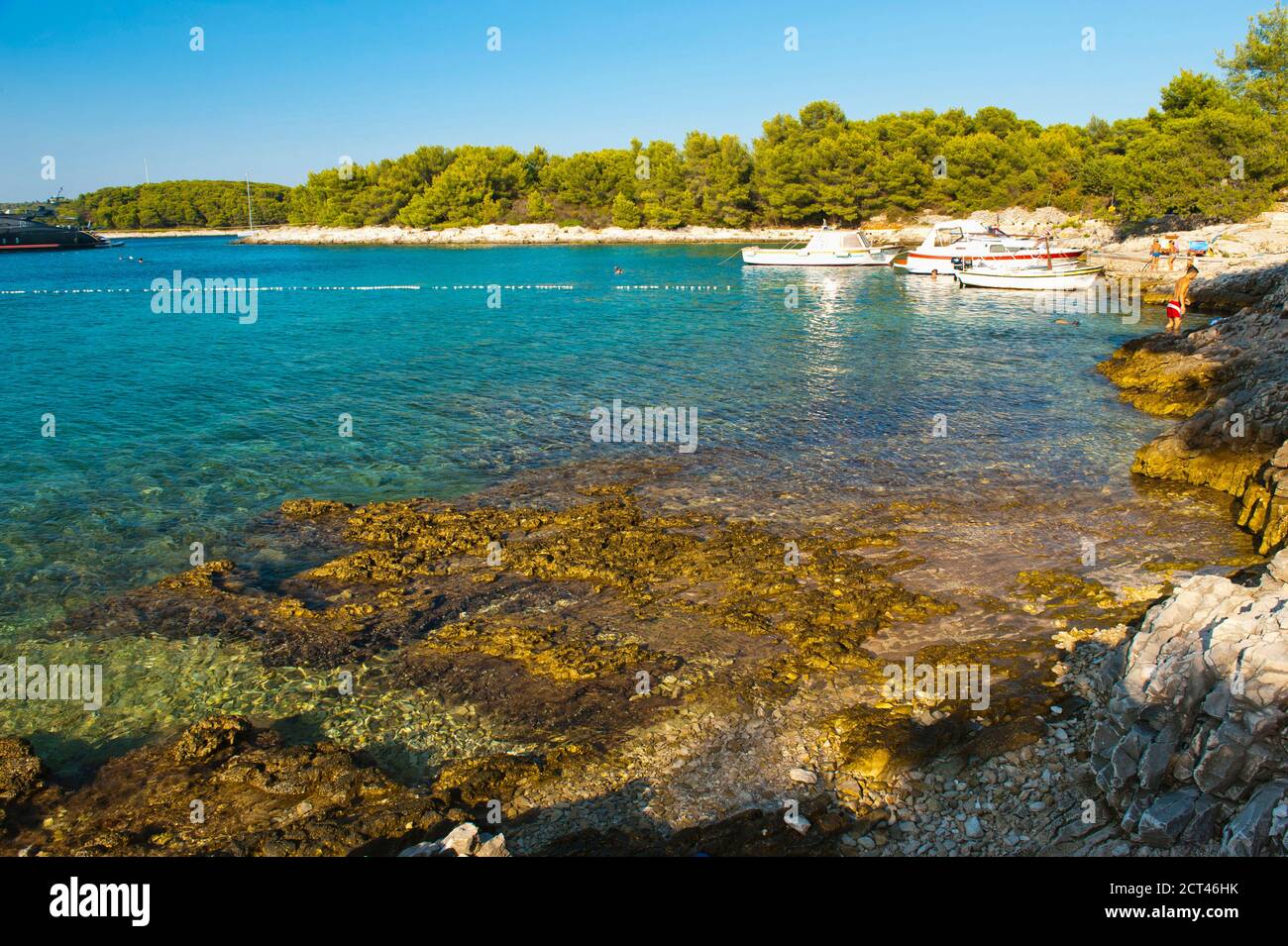 Photo of a rocky beach in the Pakleni Islands, Dalmatia, Croatia Stock ...