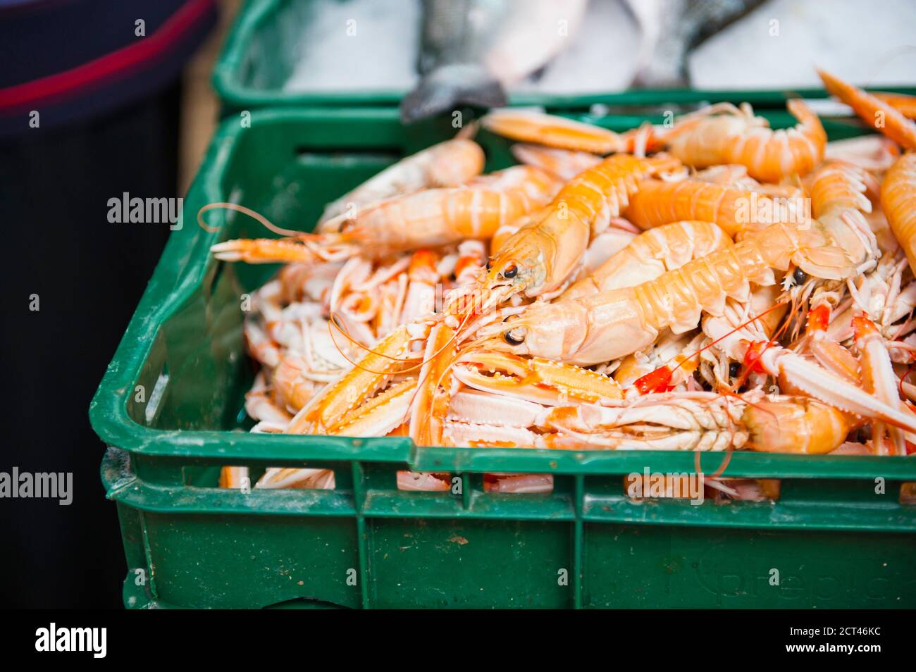Split fish market, Dalmatia, Croatia Stock Photo - Alamy