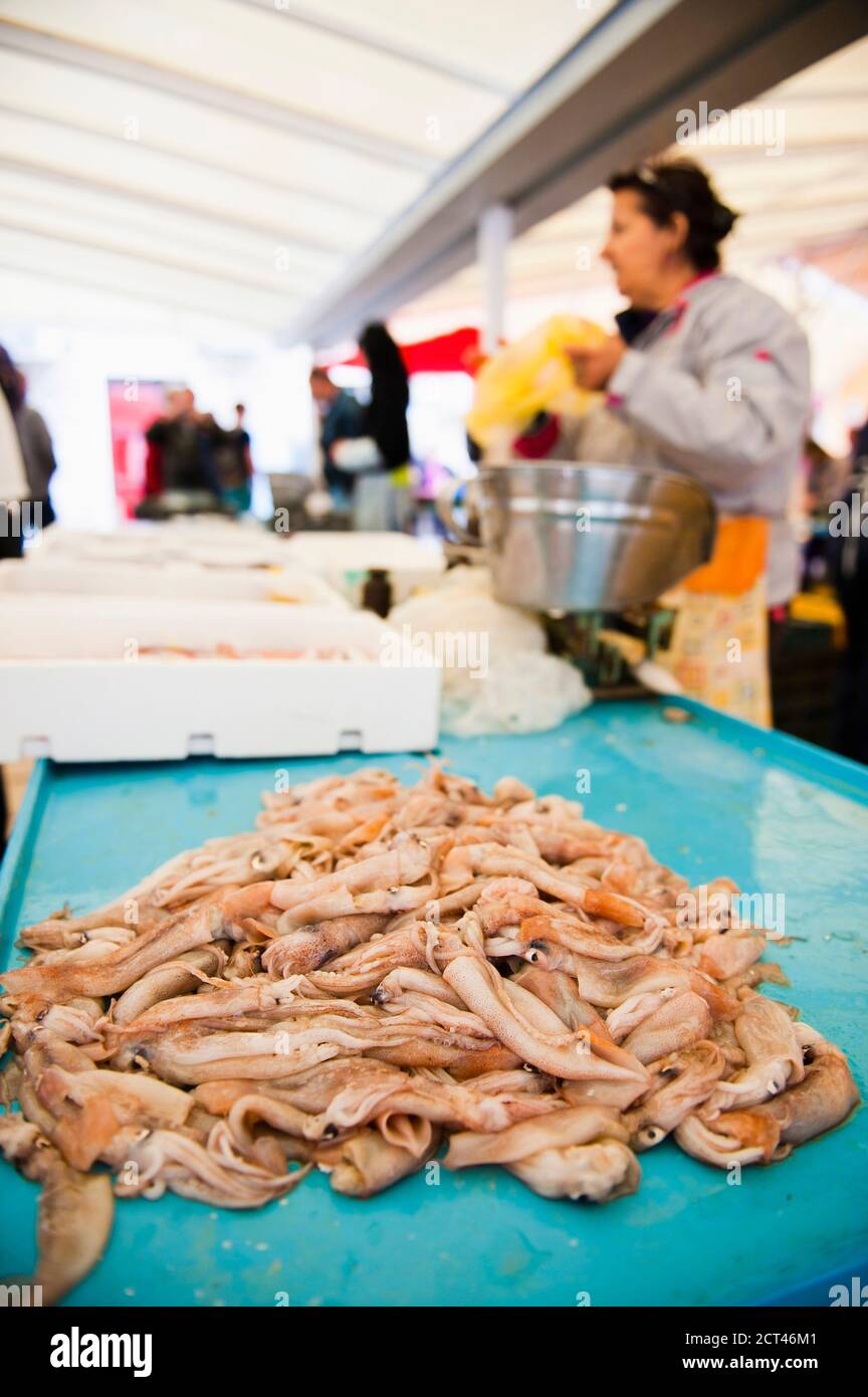 Fresh Calamari (squid) in Split fish market, Dalmatia, Croatia Stock ...