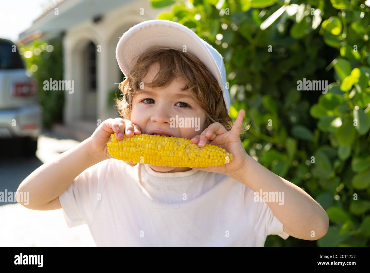 Happy boy eating corn on the cob. Farming and autumn crops concept ...