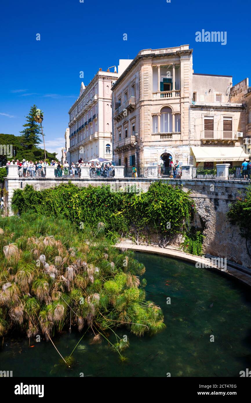 Fountain of arethusa siracusa hi-res stock photography and images - Alamy