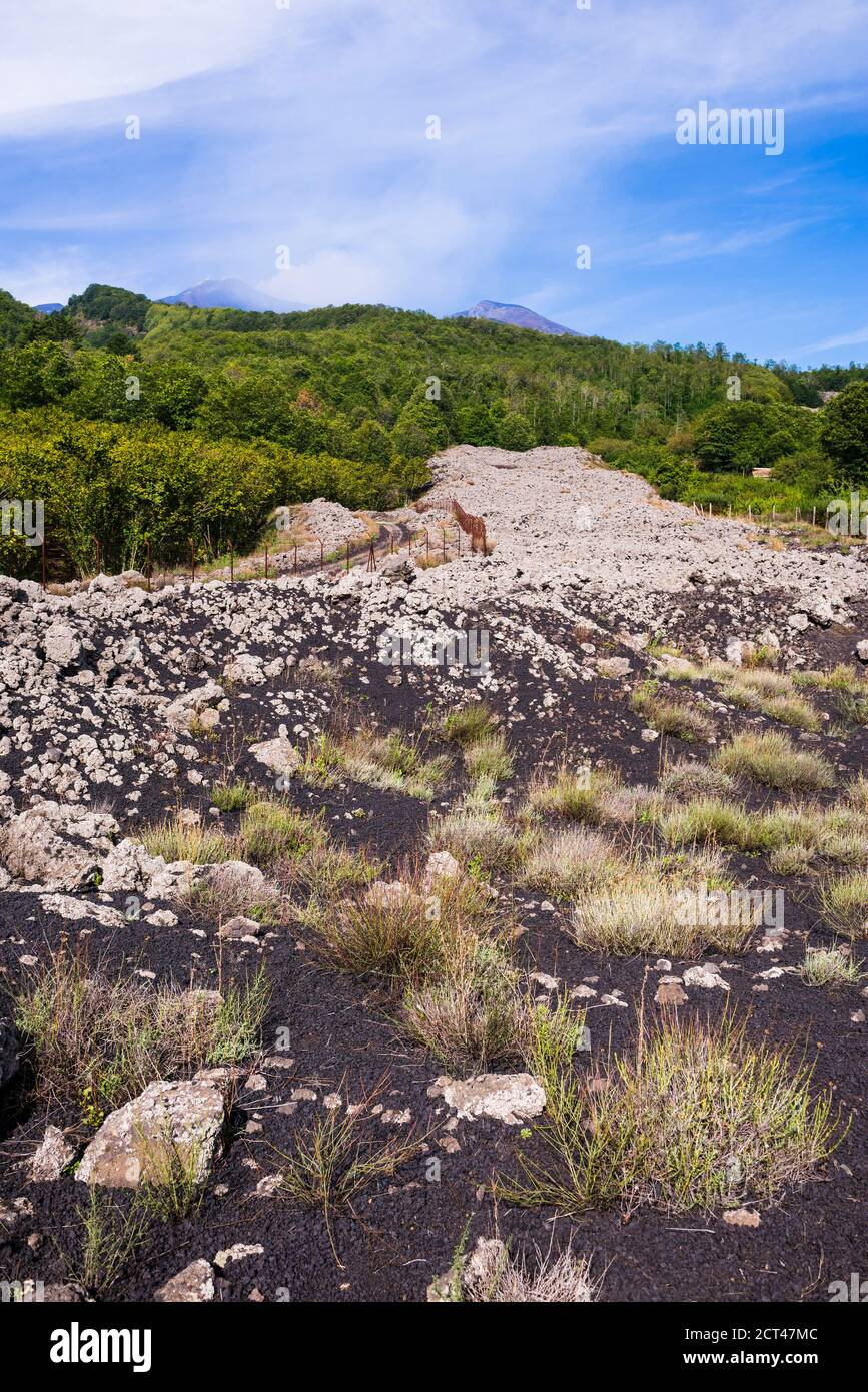Old lava field, Mount Etna Volcano, Sicily, UNESCO World Heritage Site ...