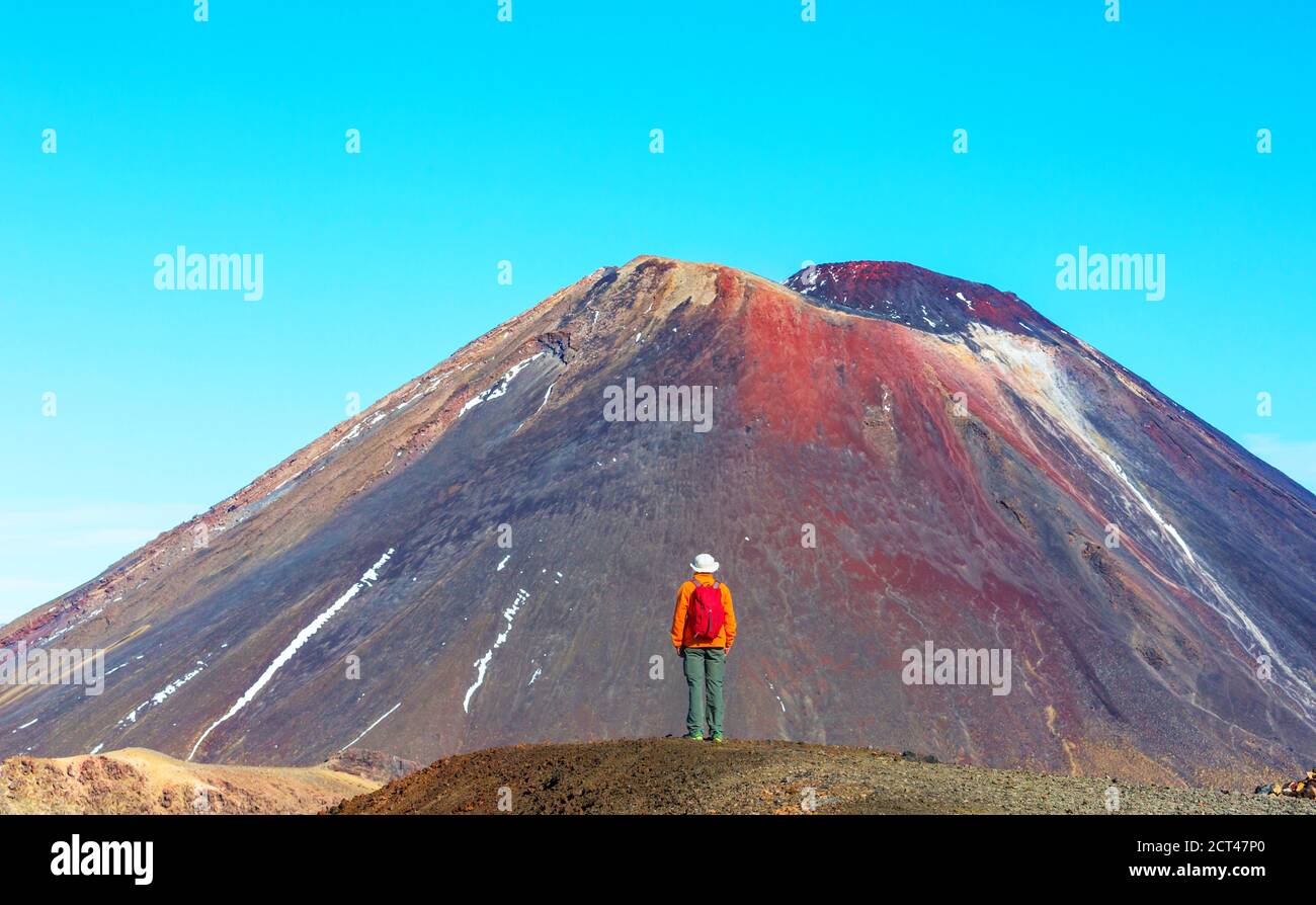 Man walking on hike trail route with New Zealand volcano, Tramping ...