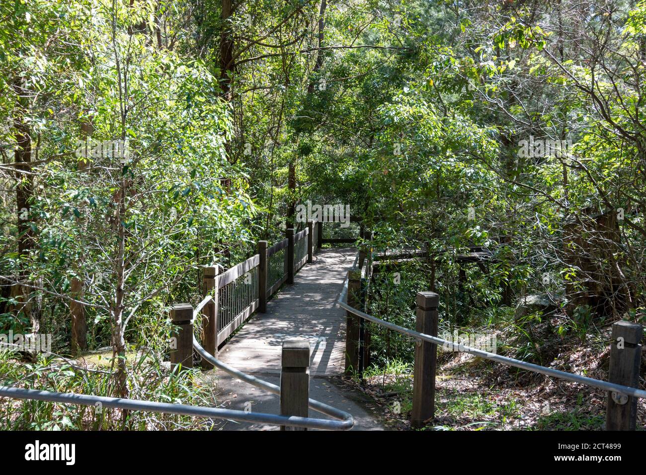 Beautiful bridge across a leafy causeway Glenrock Lagoon bush trail ...