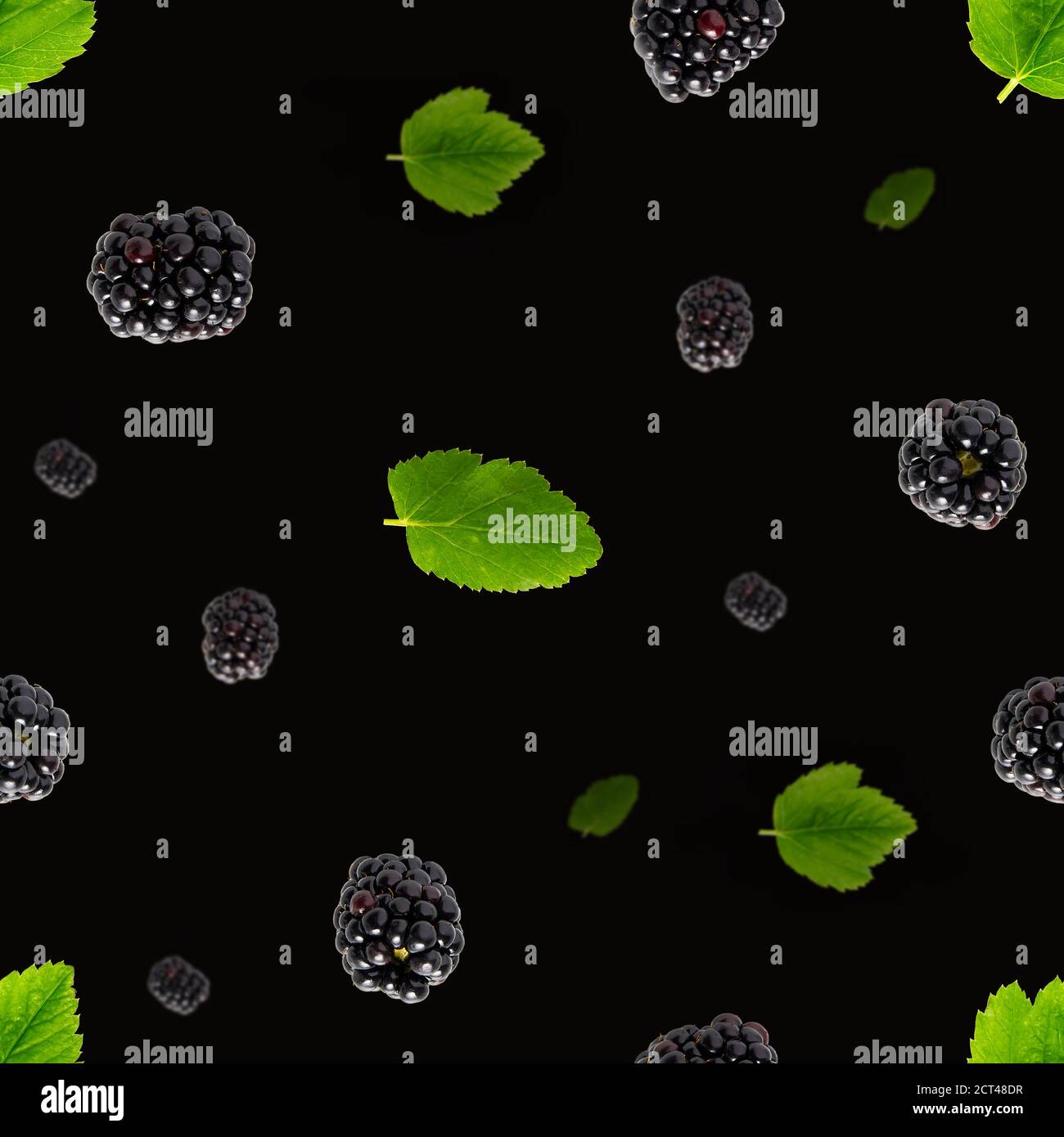 Falling Bramble Seamless pattern. Fresh Falling blackberry seamless ...