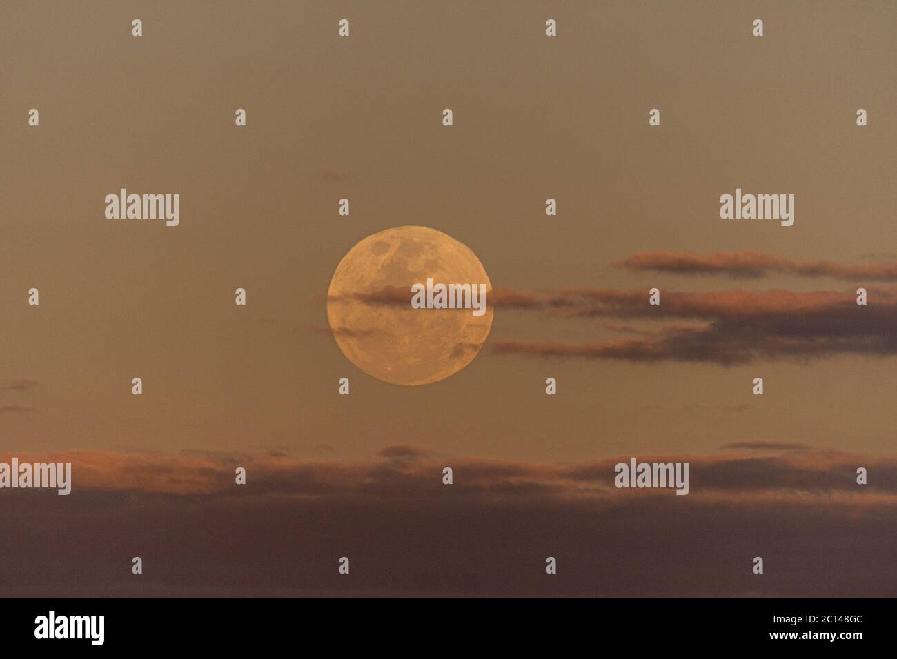 Moon rise at the Carnarvon Gorge Qld Australia Stock Photo - Alamy