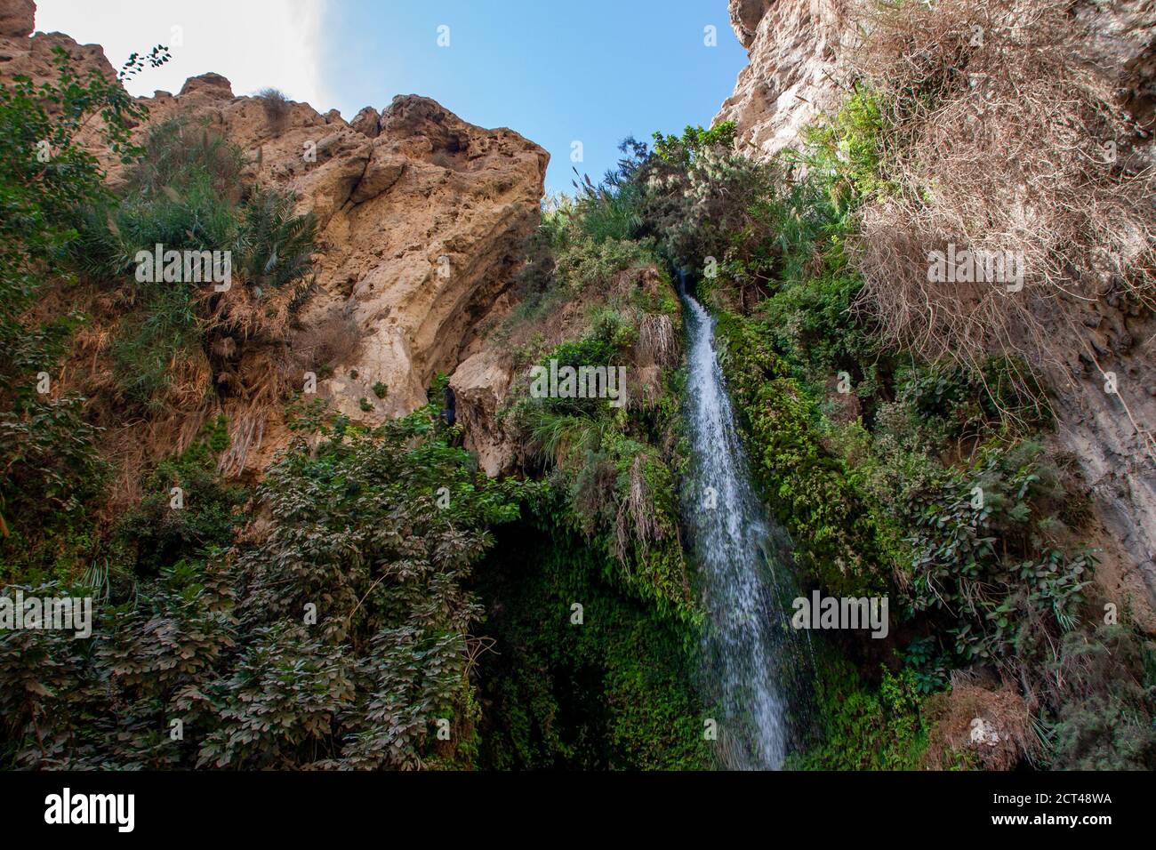 Ein Gedi sweet water springs, in the Judean desert, Israel, the lower ...