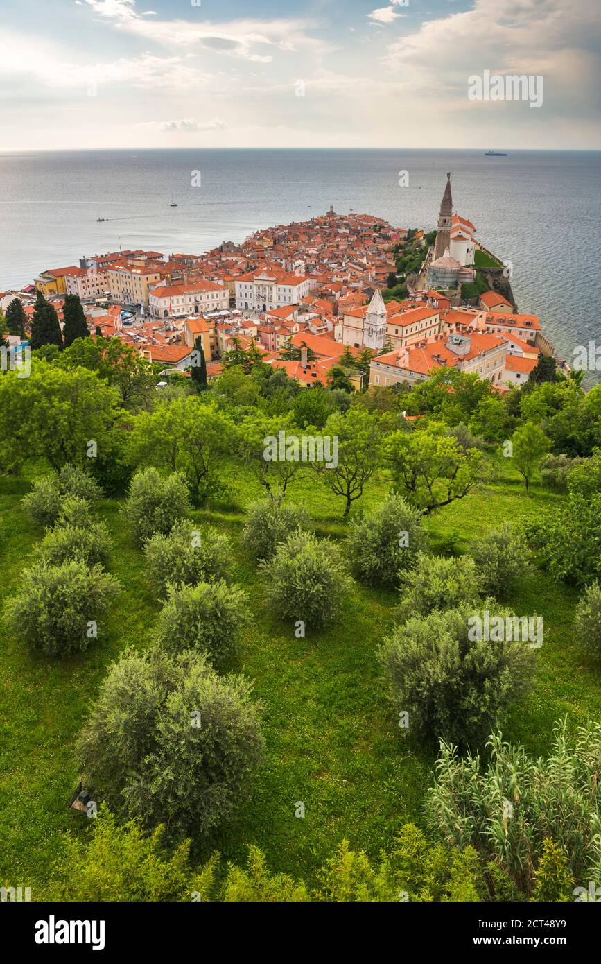 Piran and the Adriatic Sea on the Mediterranean Coast, seen from Piran ...