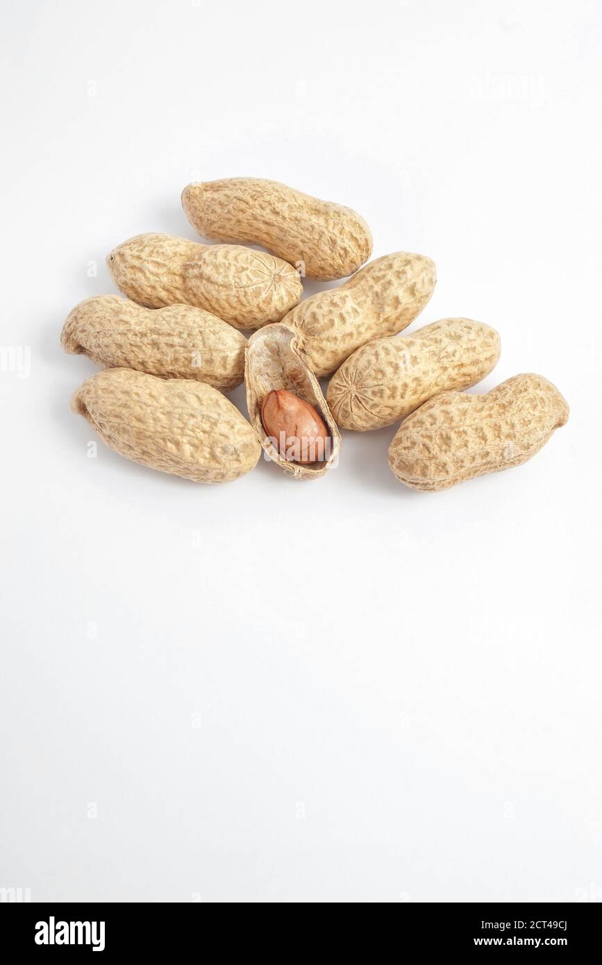 Red peanut kernel in opened shell next to whole pods against white ...
