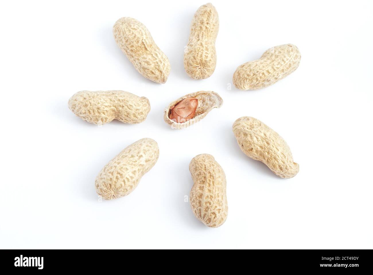 Red peanut kernel in opened shell surrounded by pots against white ...