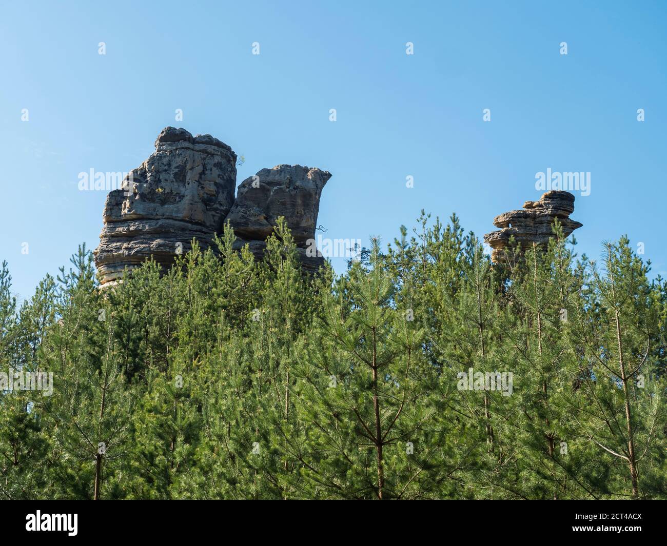 Sandstone rock pillar in spring landscape in Lusatian Mountains with ...
