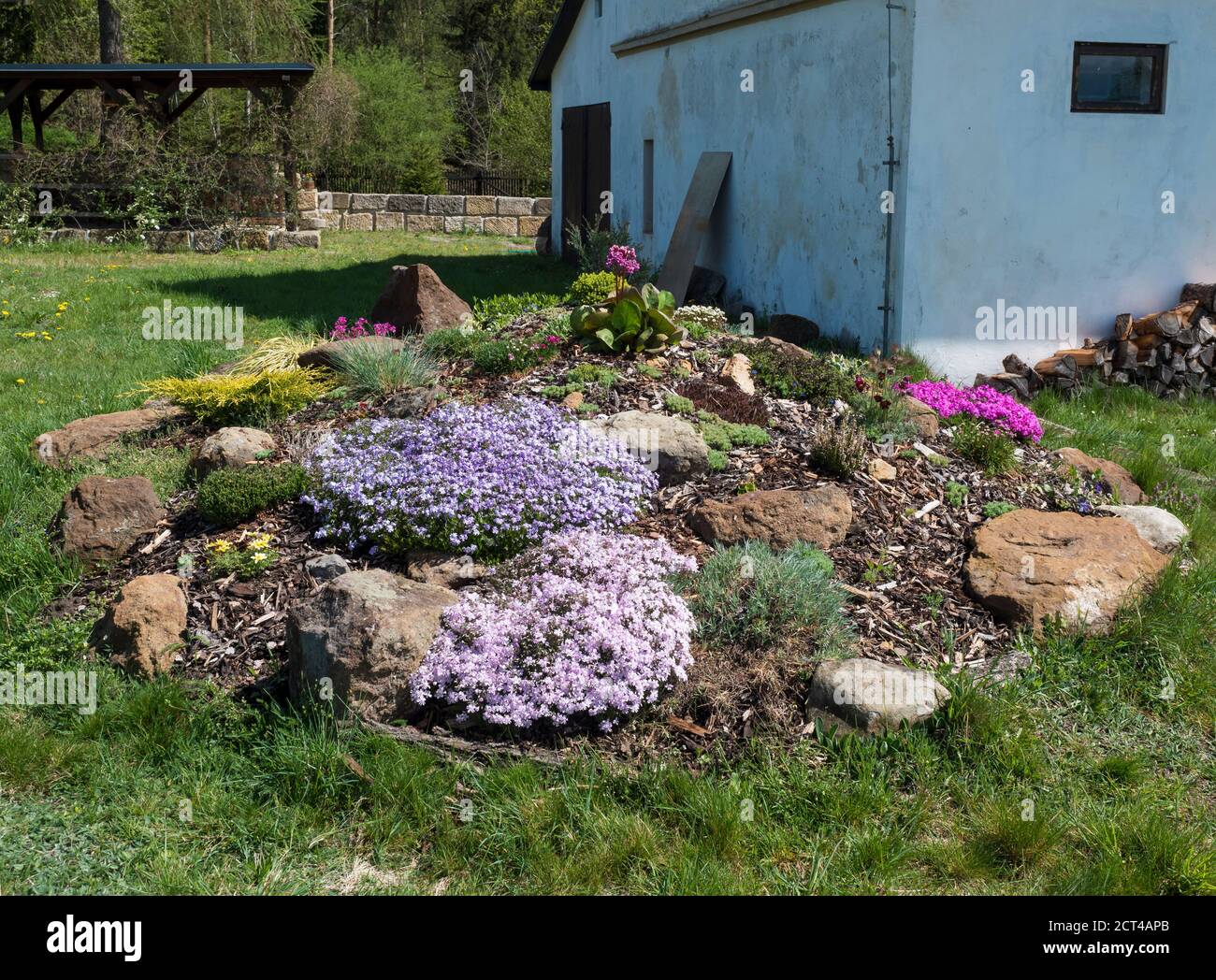 spring garden with rock garden in full bloom with pink Phlox, Armeria ...