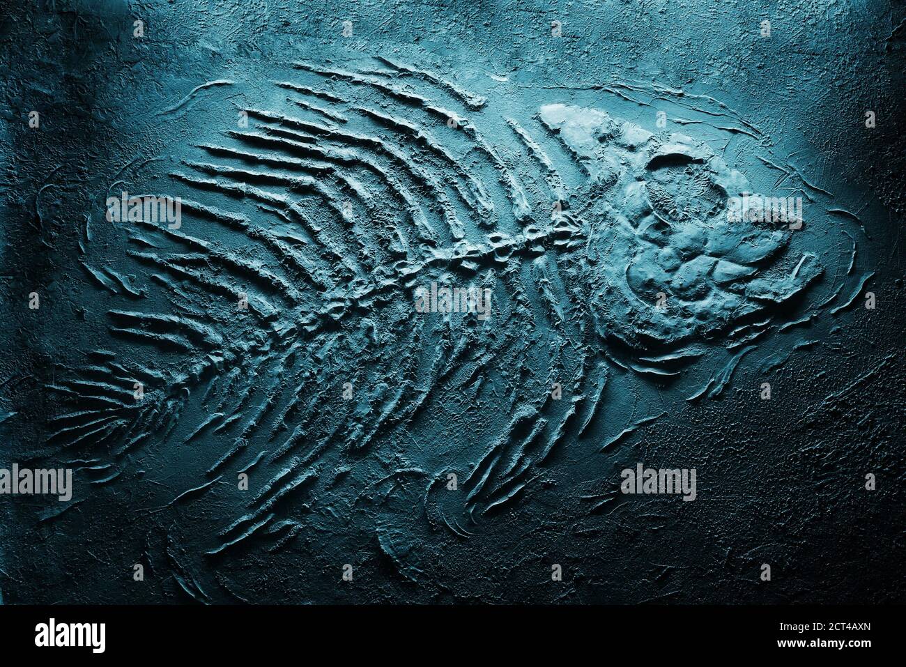 Fossils limestone fish hi-res stock photography and images - Alamy