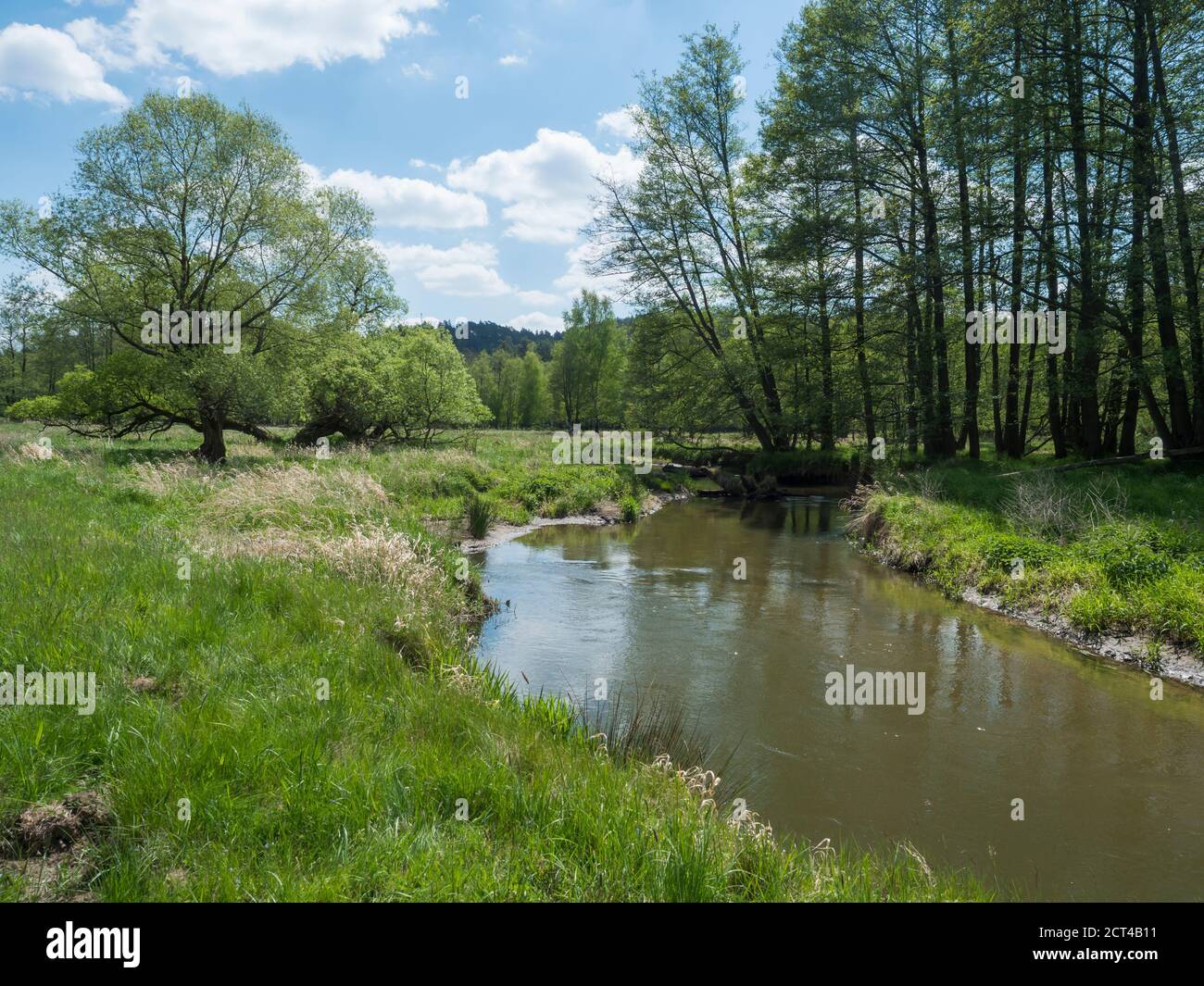 idyllic landscape of winding river stream meander at lush green meadow ...