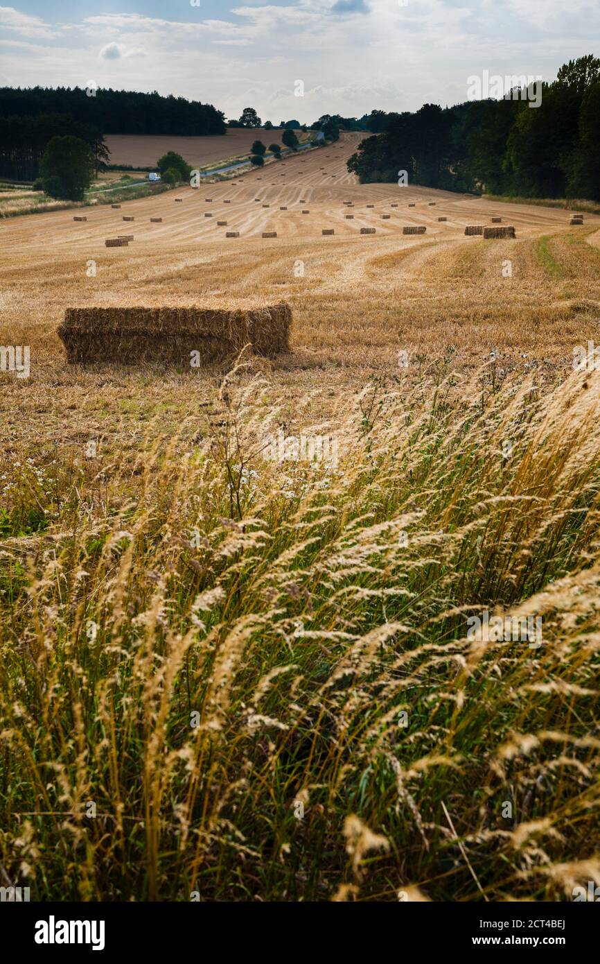 Blockley, The Cotswolds, Gloucestershire, England, United Kingdom Stock ...