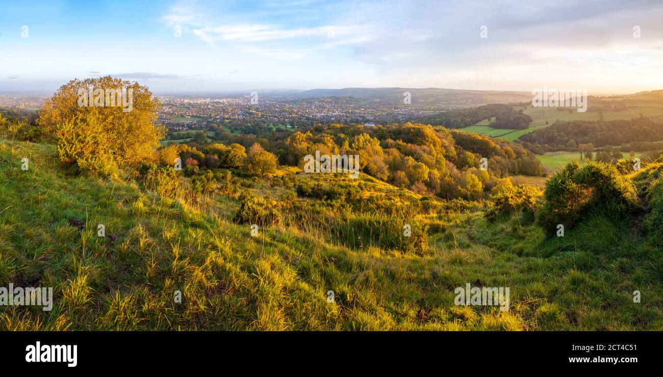 Autumn trees on Leckhampton Hill, Cheltenham, The Cotswolds ...