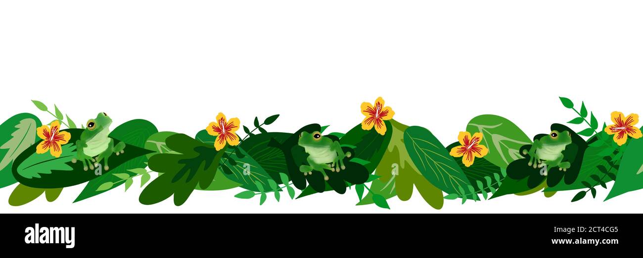 Frogs sitting on leaves seamless border. Repeating pattern with frog ...