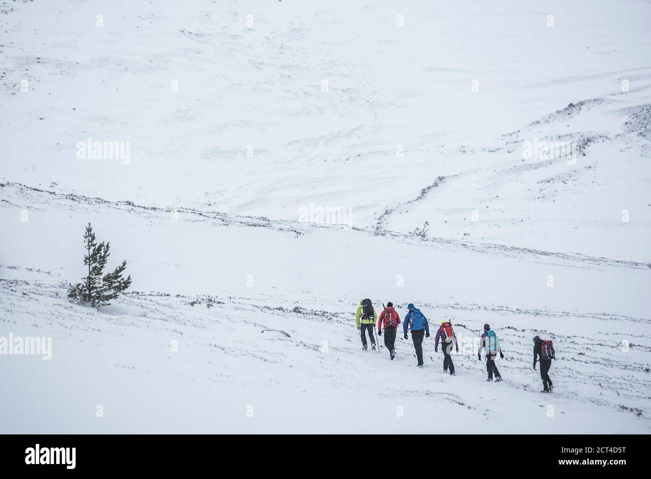 Winter hiking, walking at CairnGorm Mountain, Aviemore, Cairngorms ...