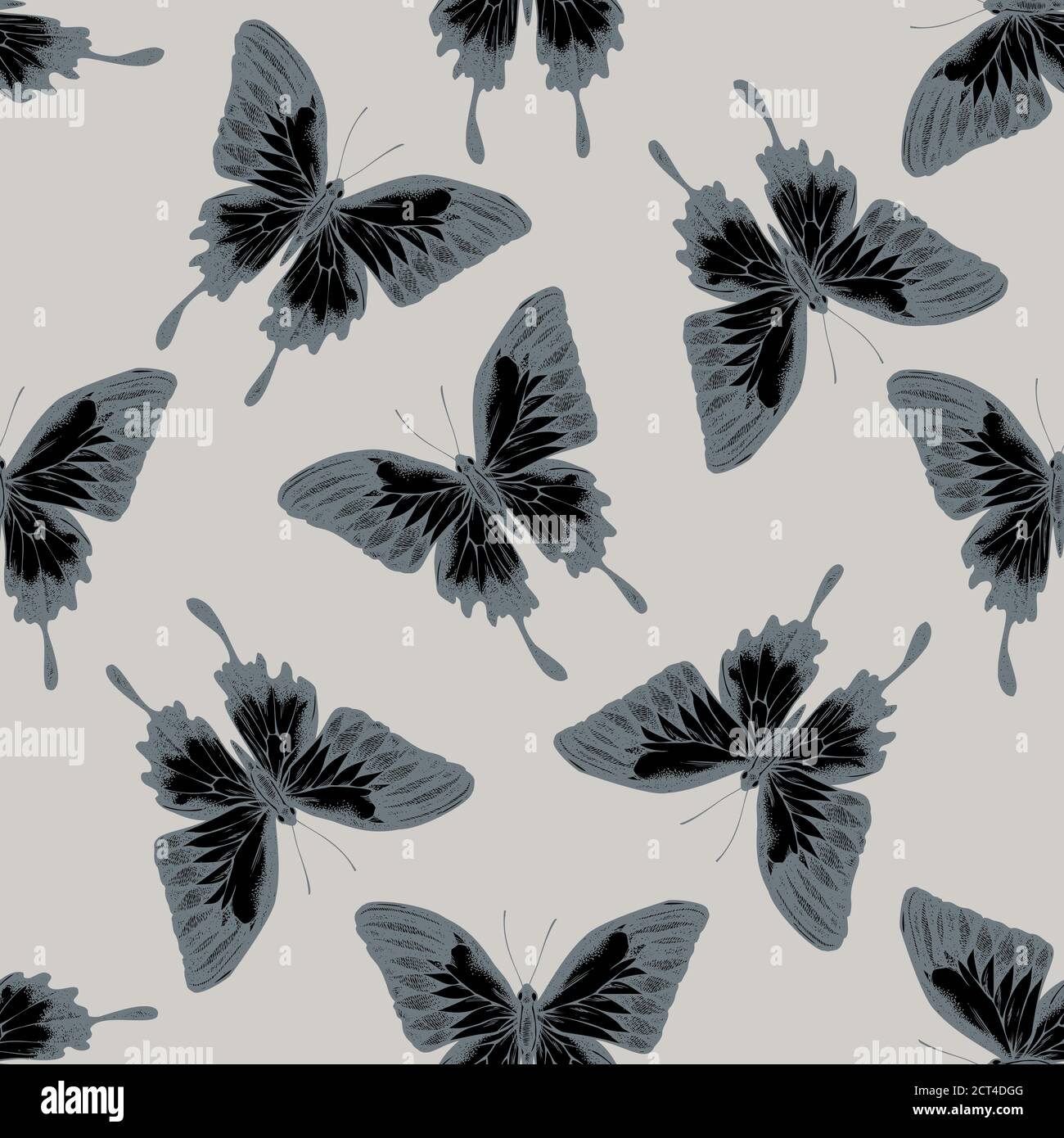 Australia insect Stock Vector Images - Alamy