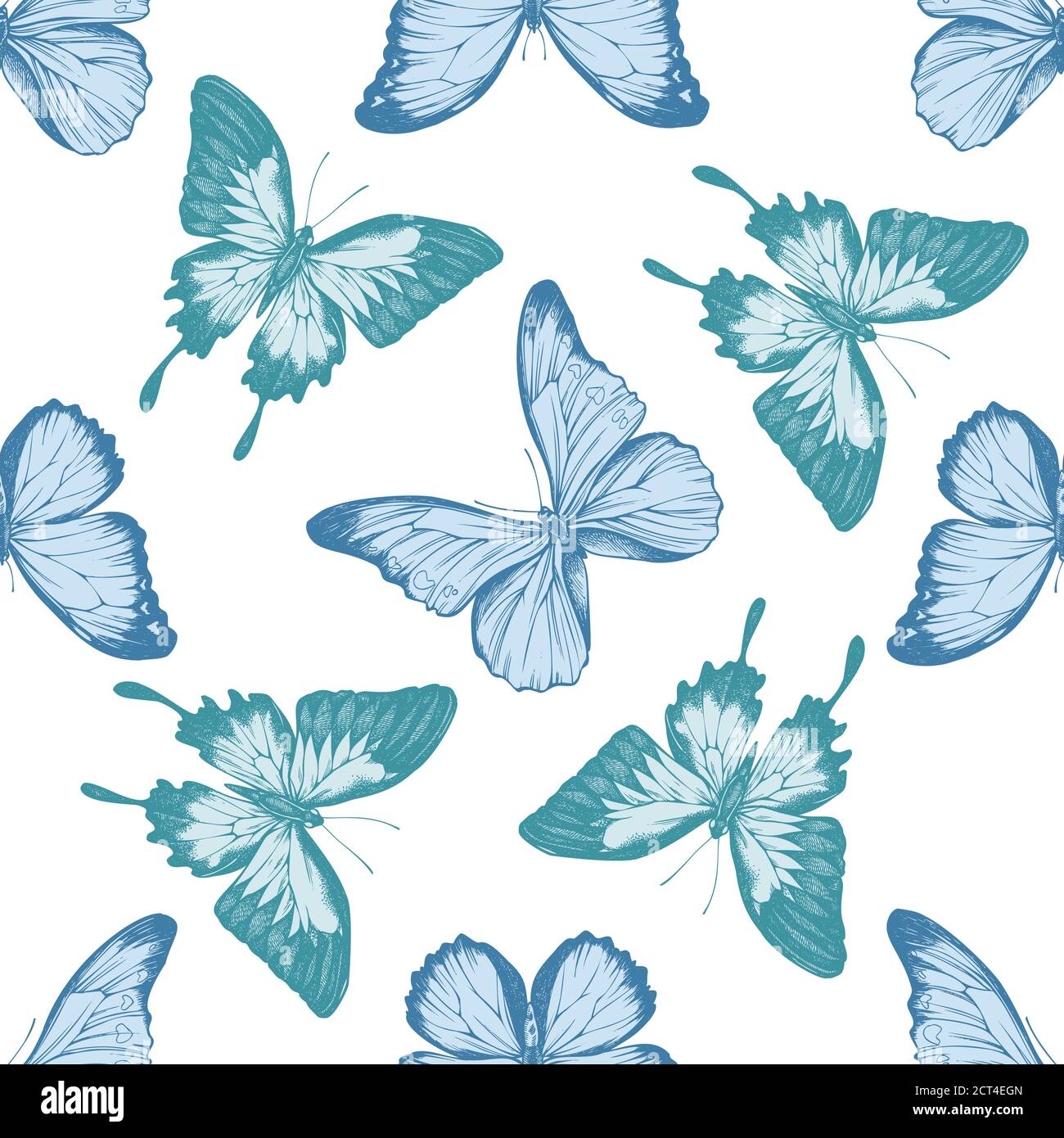 Seamless pattern with hand drawn pastel blue emperor, menelaus blue ...